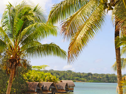 Explore Tonga - South Pacific Guide