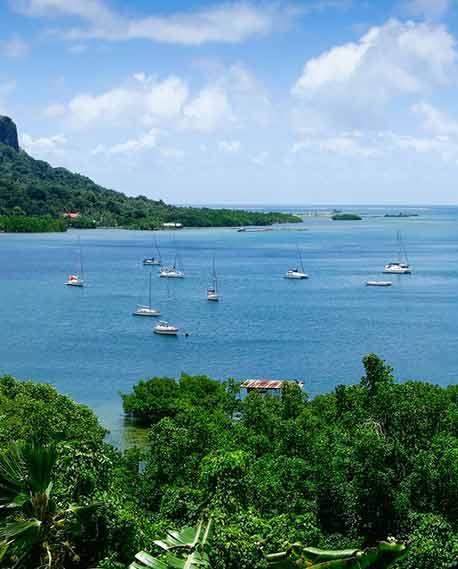 Travel News, Blogs & Articles on Pohnpei, Micronesia: 2025-2026