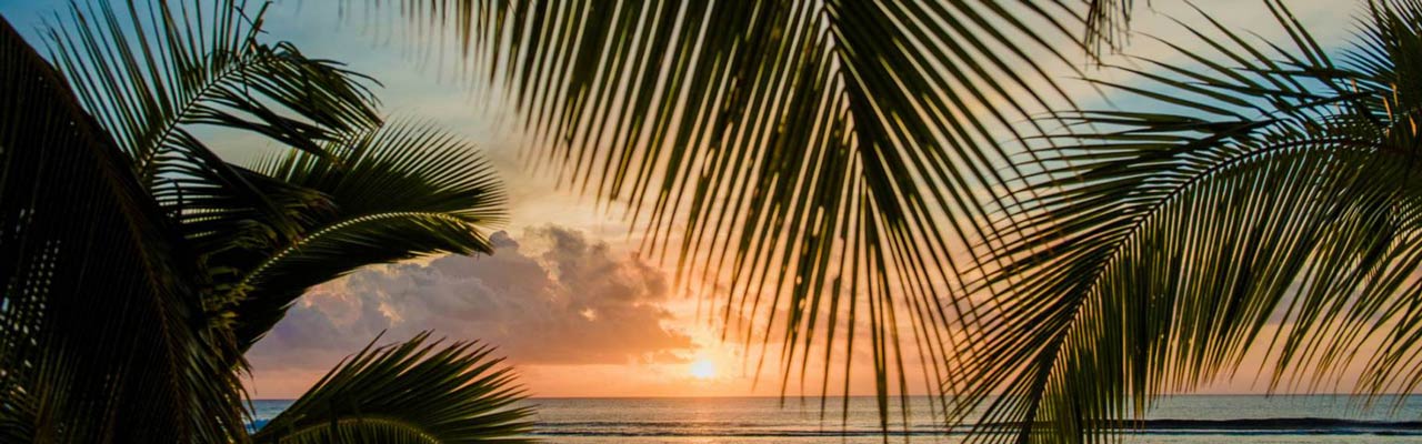 Magic Reef Beachfront Bungalows: Rarotonga Holiday Deals 2024