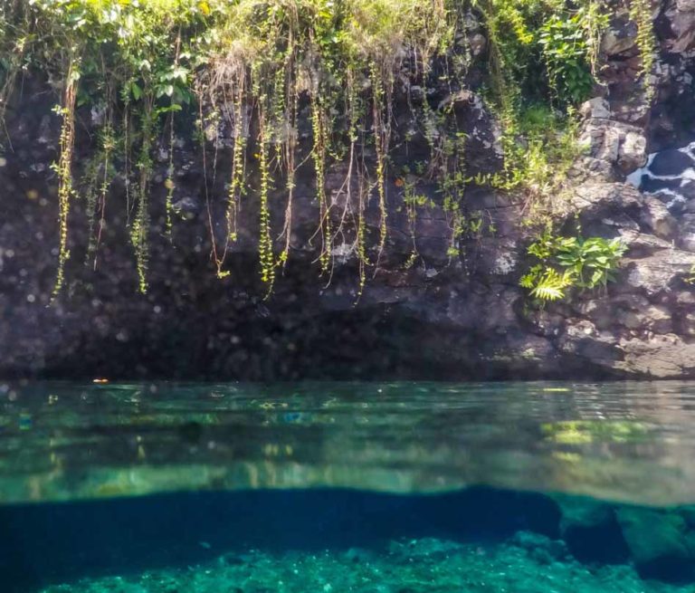 Samoa’s Little Gems - Piula Cave Pools: Hideaway Holidays Blog