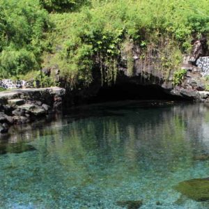 Tagimoucia N’ Other Terrific Things About Taveuni - Hideaway Blogs
