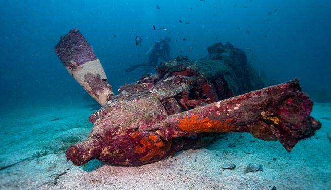 Munda, Solomon Islands - All-Inclusive Holiday Deals and Packages 2025