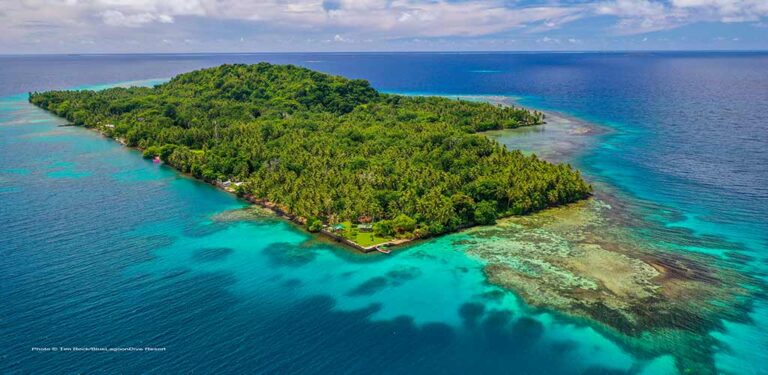 Pristine Paradise: Why Forbes Ranks Palau in the Top 25 for 2026